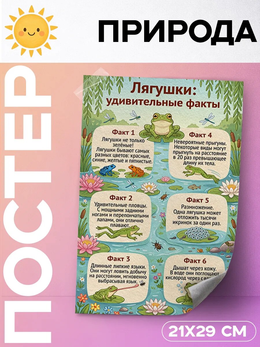 Познавательные постеры для детей Интересные факты о Лягушках