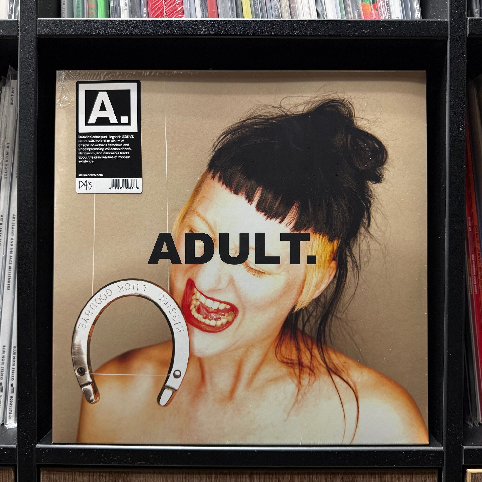 Виниловая пластинка ADULT - Kissing Luck Goodbye (still sealed, LP) LP Винил
