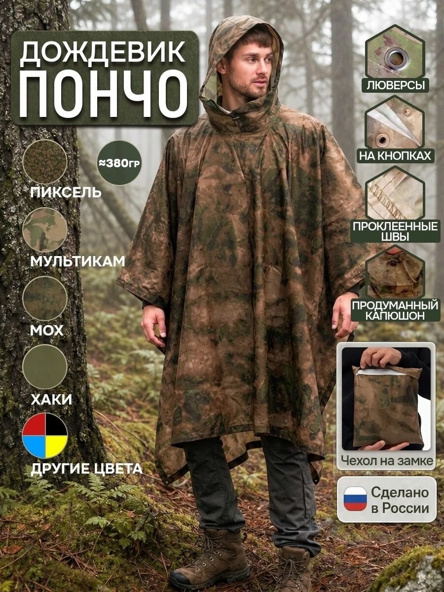 Дождевик эгистактик