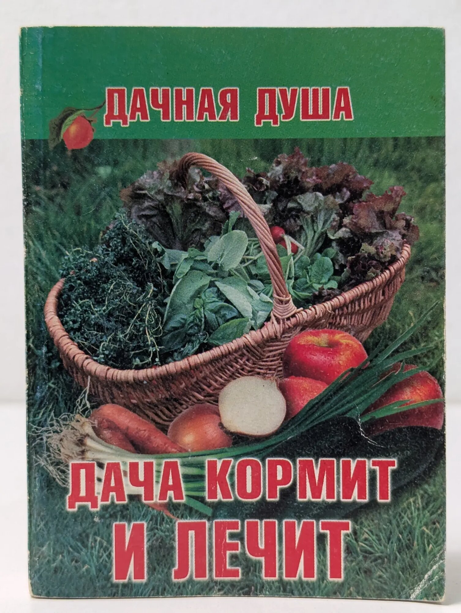 Дача кормит и лечит Кузьмина Елена 2008