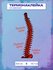Термонаклейка thoracic spine