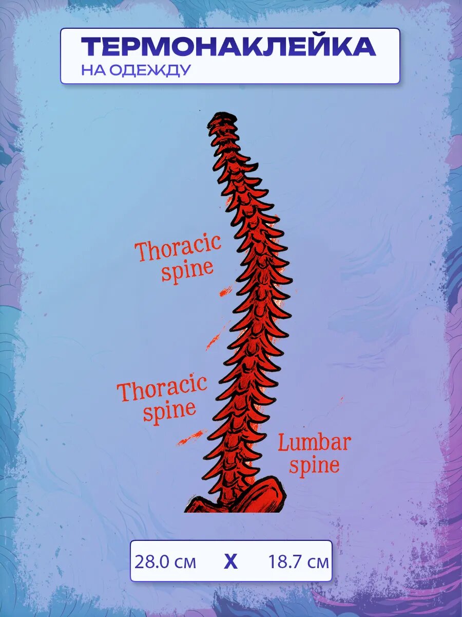 Термонаклейка thoracic spine