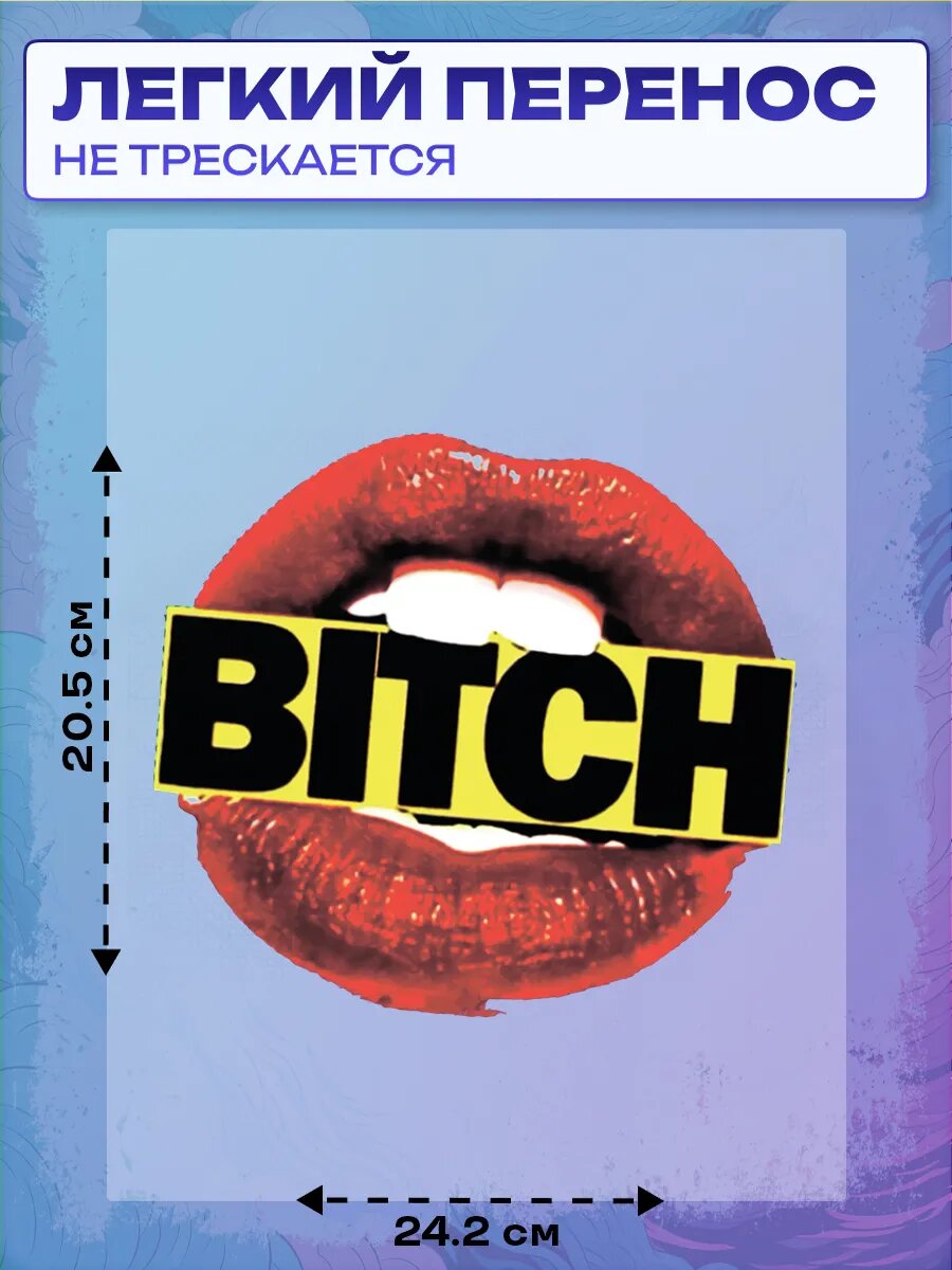 Термонаклейка bitch — фото 1