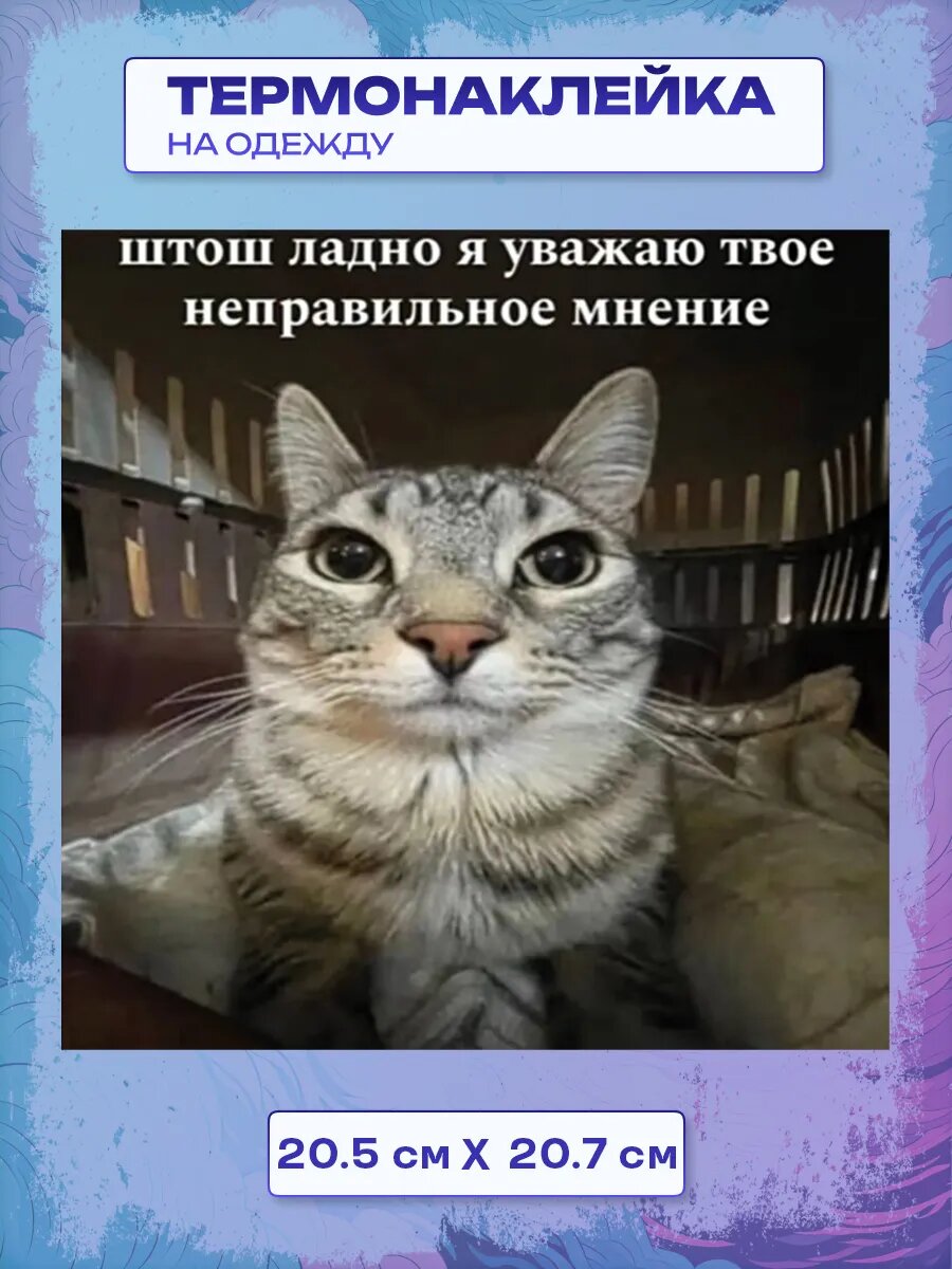 Термонаклейка штош ладно я уважаю твое неправильное мнение
