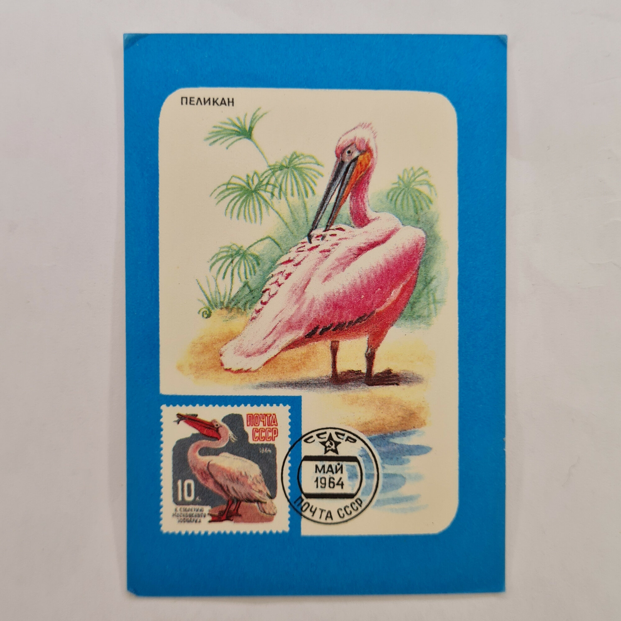Карманный календарик СССР 1990. Пеликан, почтовая марка, птицы. Советский календарь