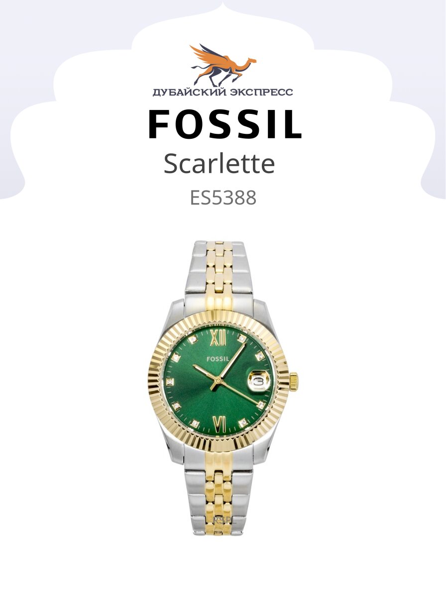  FOSSIL