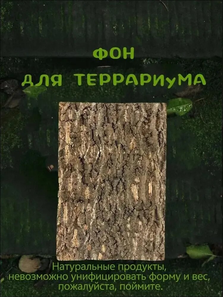 Фон для террариума из натуральной коры пробкового дерева, 30*40 см