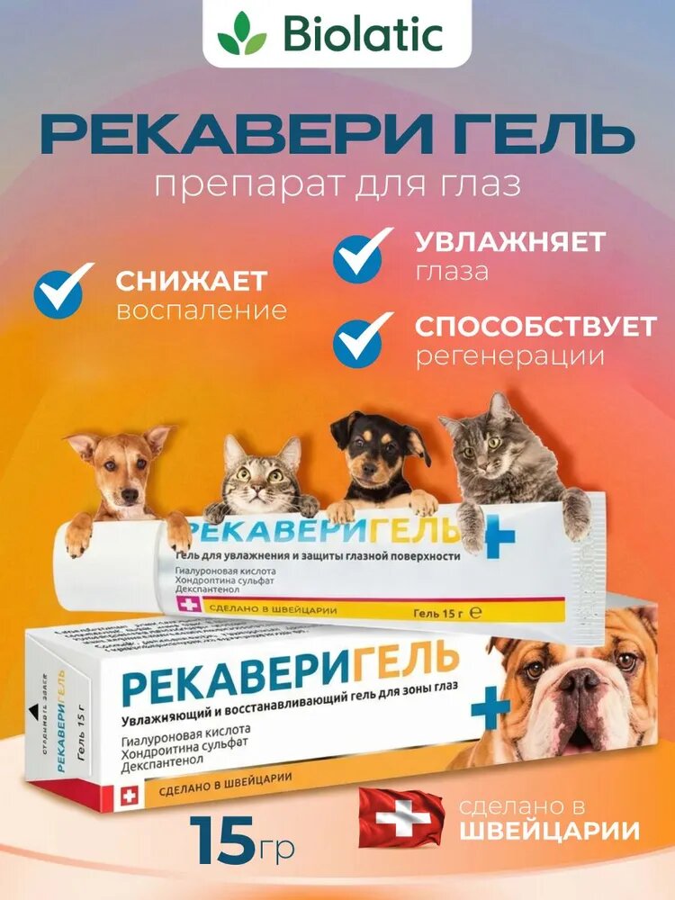 Рекаверигель гель для увлажнения и защиты глазной поверхности, 15 гр