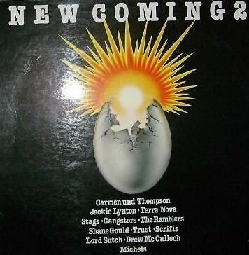 V/A - New Coming 2 ( сборник диско и рок исполнителей) NM/NM (LP, Германия, 1980) Винтажная Виниловая Пластинка