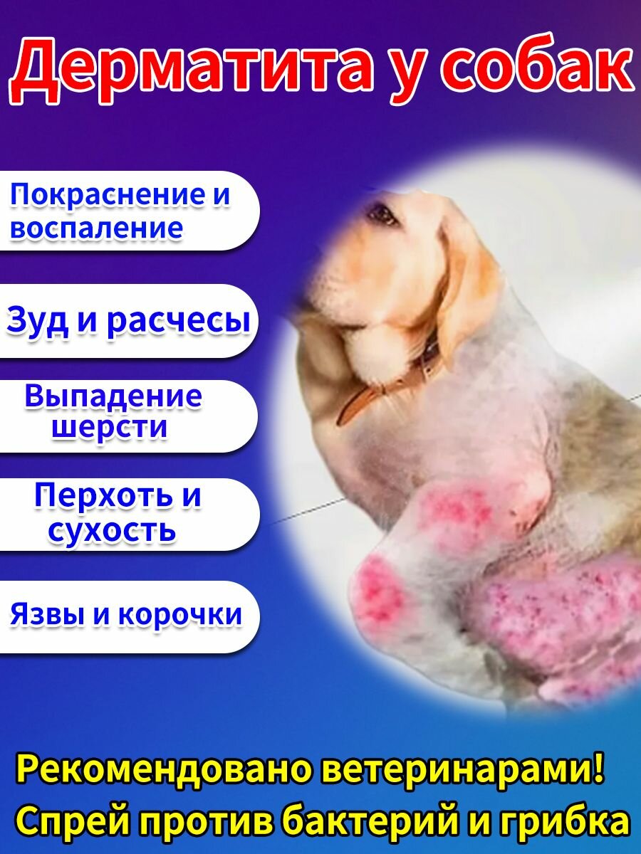 Шампунь для животных