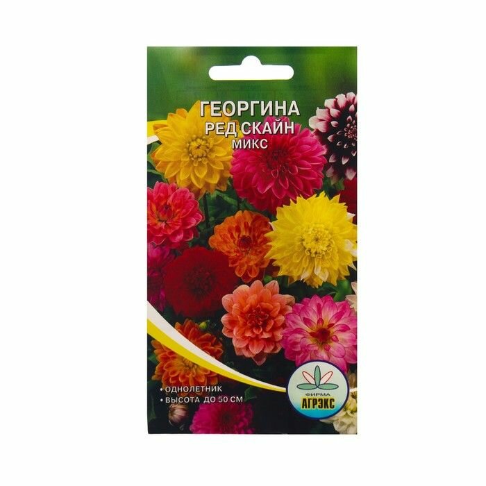 Семена Цветов Георгина Ред скайн 0,2 г