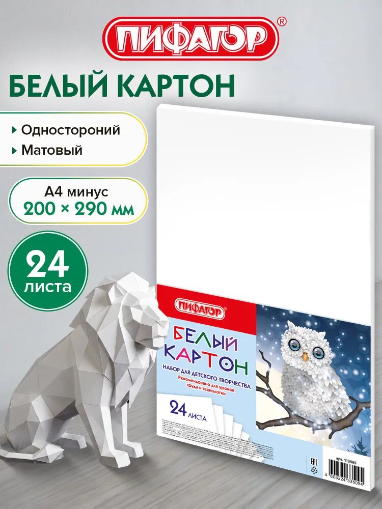 Картон белый плотный для творчества и рисования А4 немелованный, 24 листа, в пленке, Пифагор, 200х290 мм, Совушка