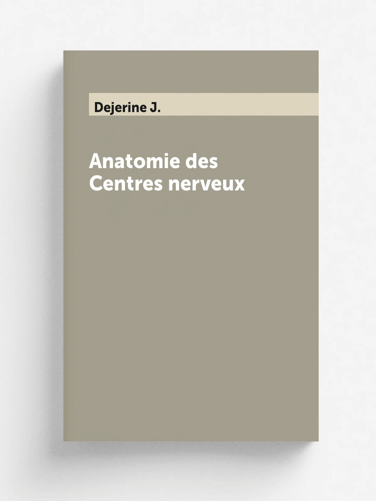 Anatomie des Centres nerveux