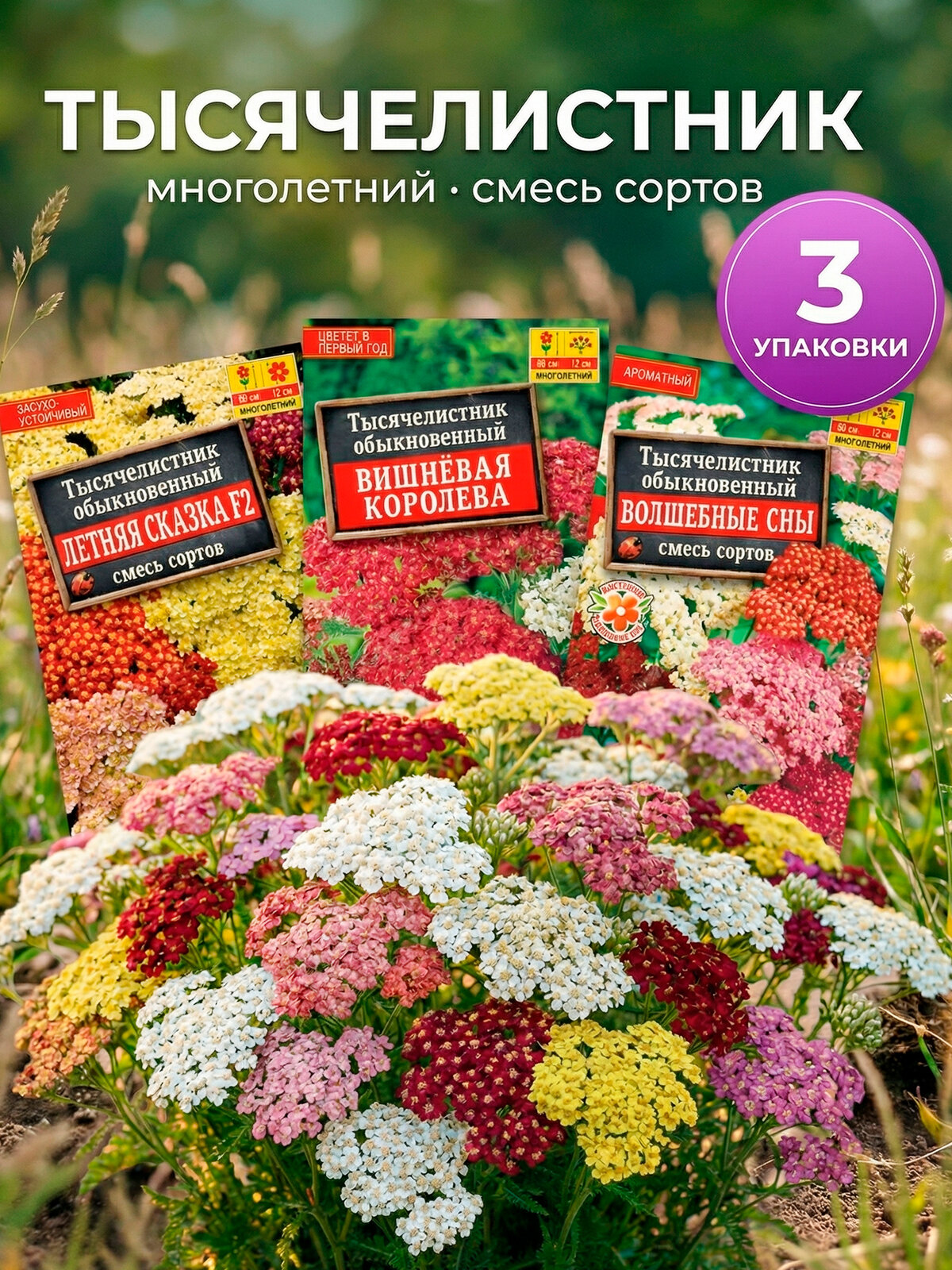 Тысячелистник семена цветов для сада для выращивания