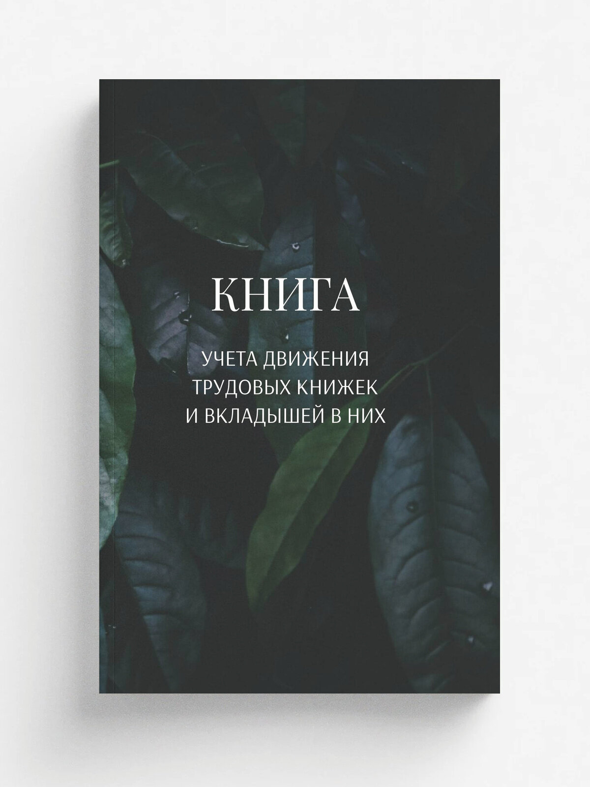 Книга учета трудовых книжек и вкладыщей к ним