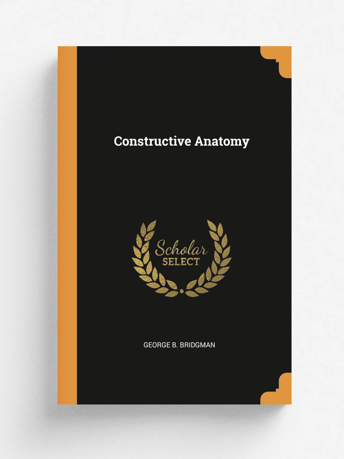 Constructive Anatomy