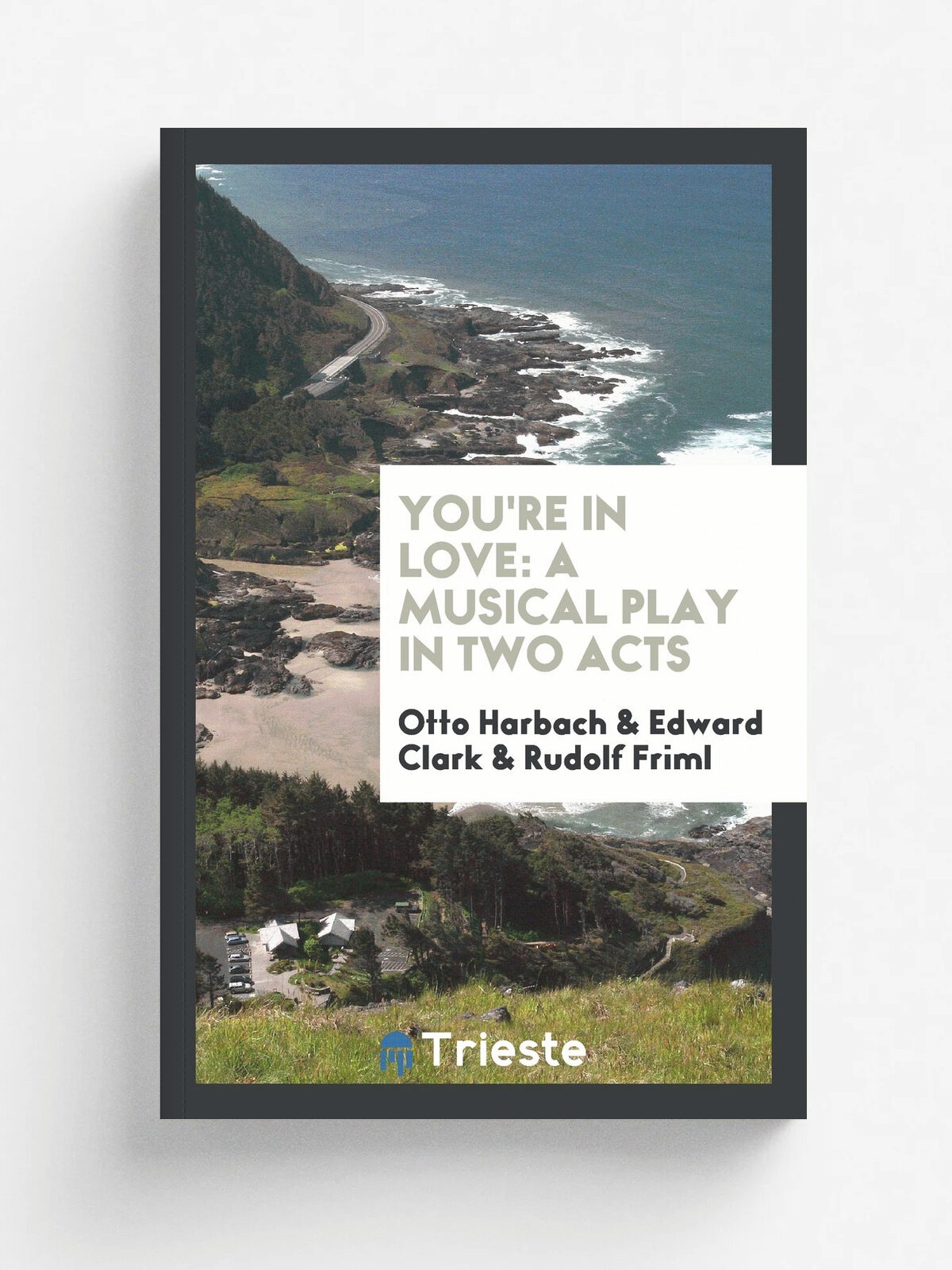 You're in love. a musical play in two acts