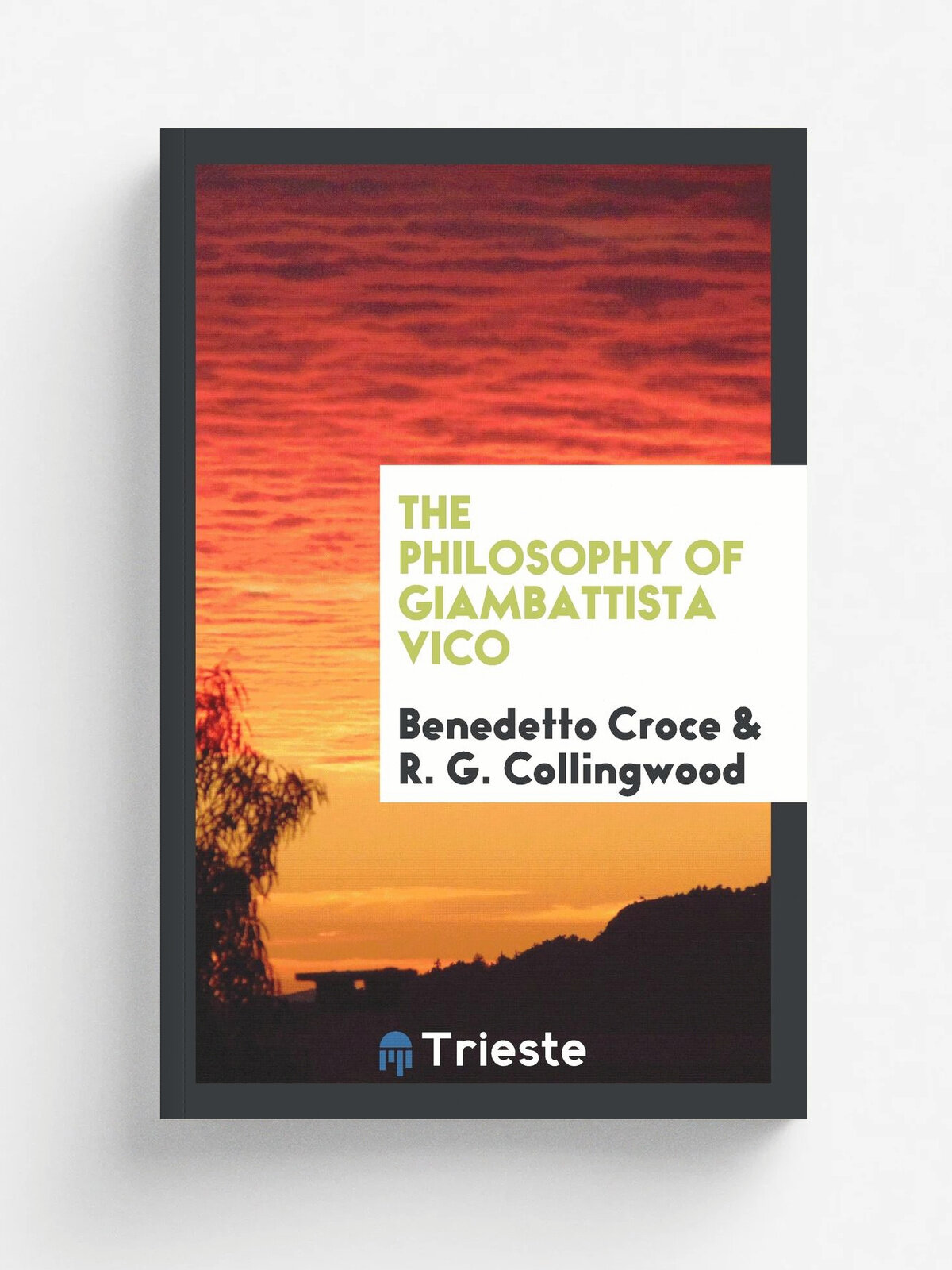 The philosophy of Giambattista Vico