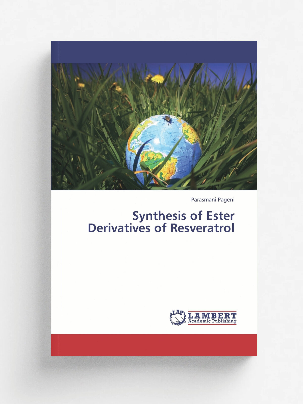 Synthesis of Ester Derivatives of Resveratrol