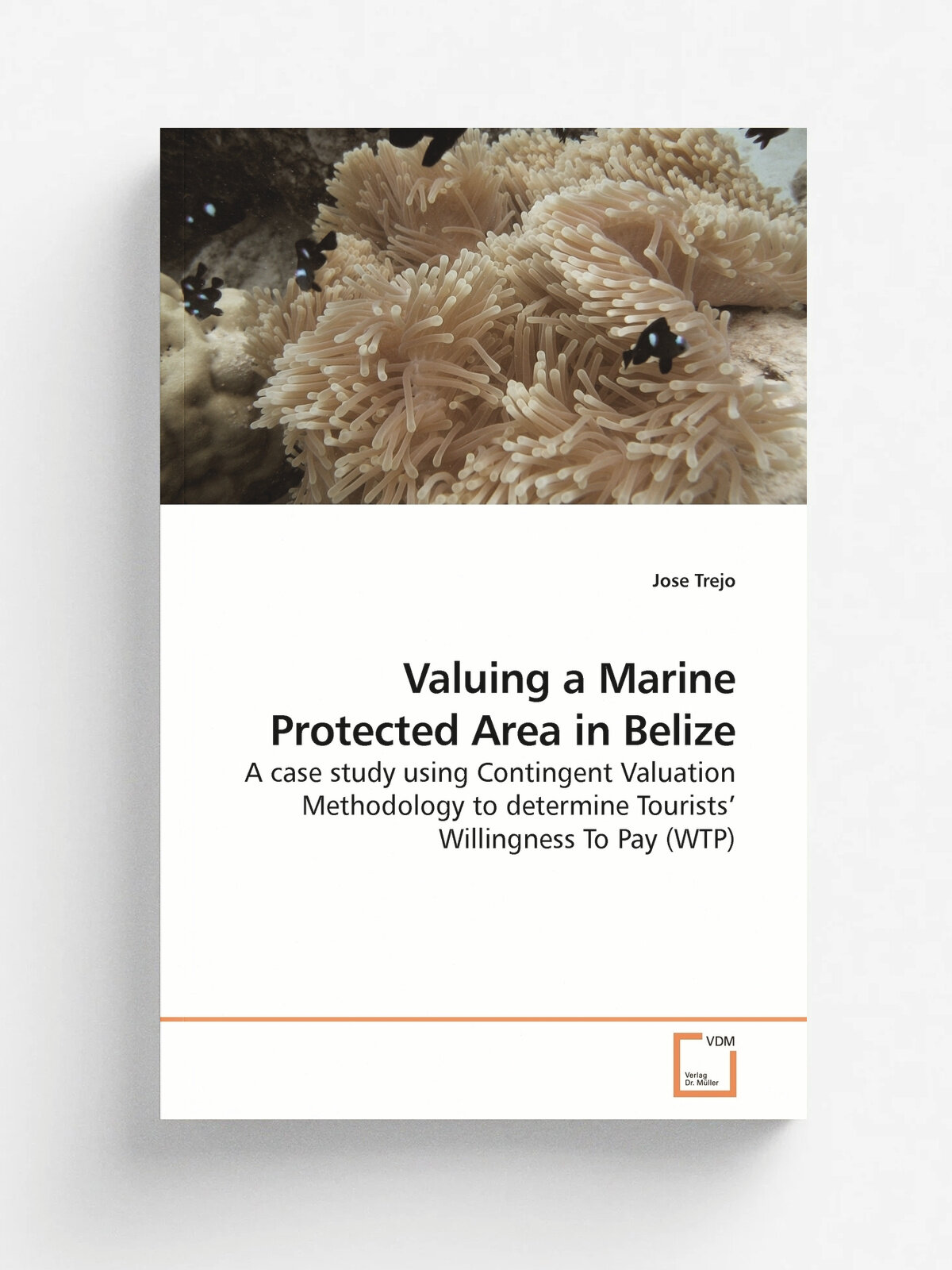 Valuing a Marine Protected Area in Belize