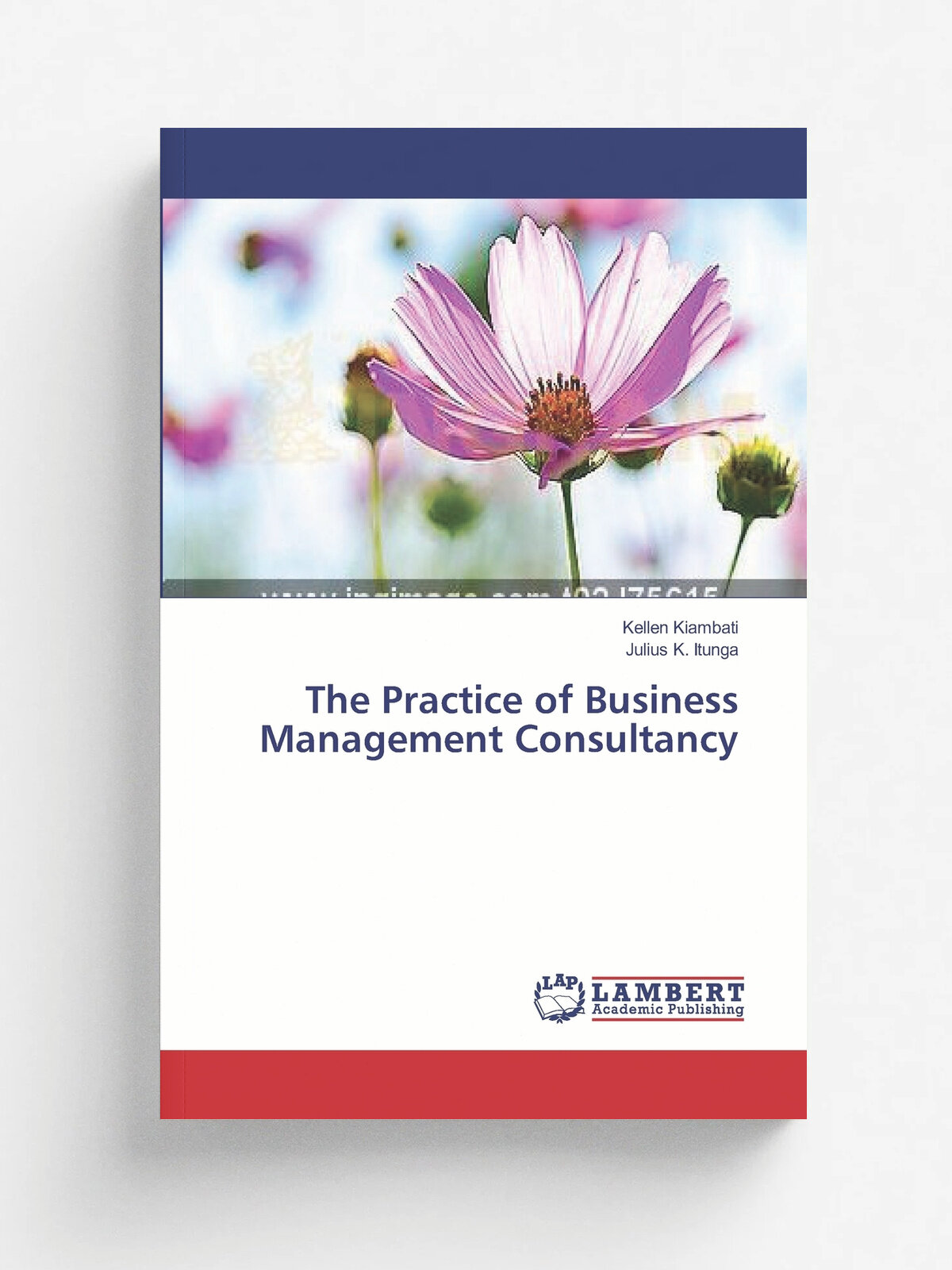 The Practice of Business Management Consultancy