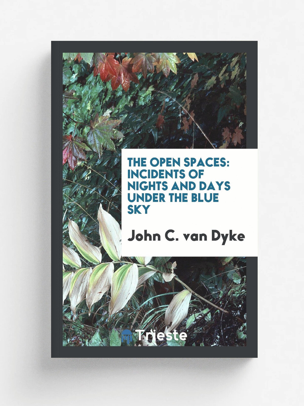 The Open Spaces. Incidents of Nights and Days Under the Blue Sky