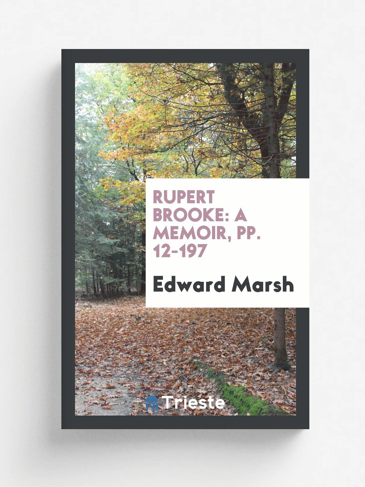Rupert Brooke. A Memoir, pp. 12-197