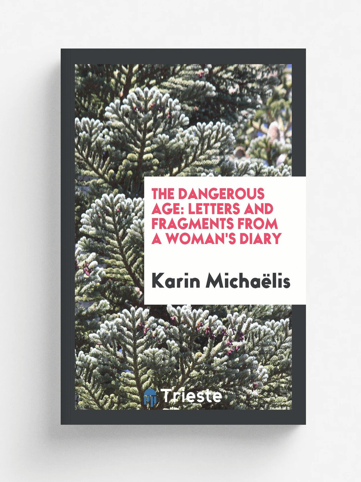 The Dangerous Age. Letters and Fragments from a Woman's Diary