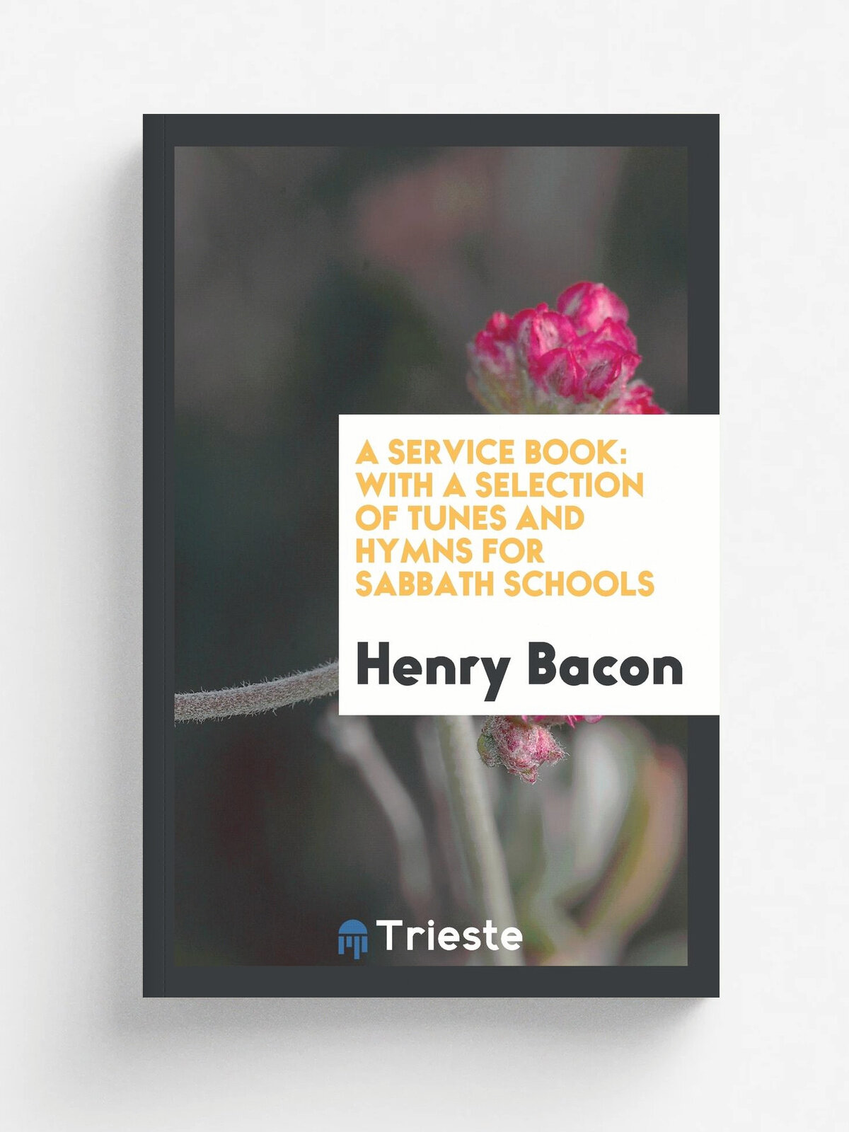 A Service Book. With a Selection of Tunes and Hymns for Sabbath Schools