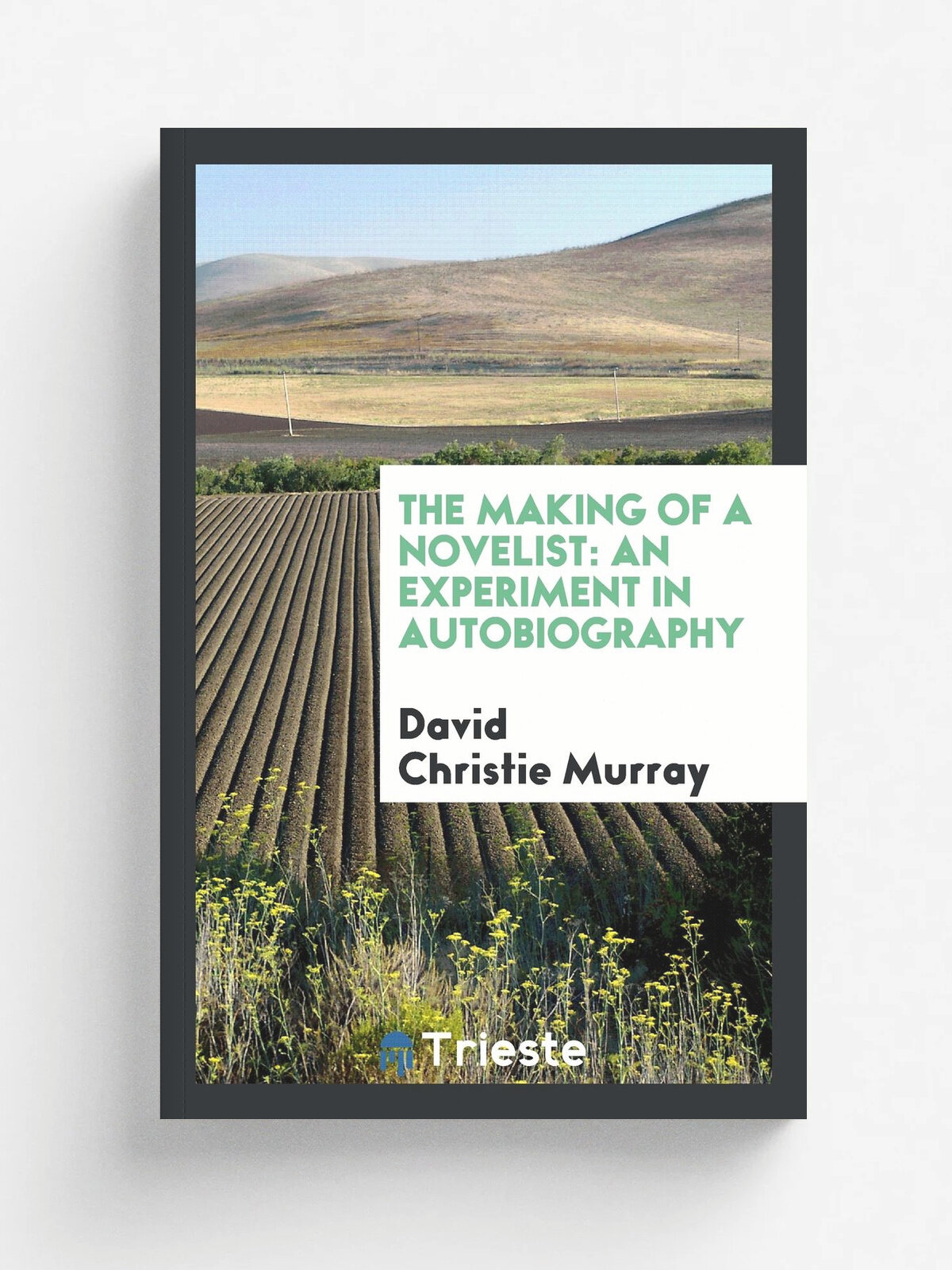 The Making of a Novelist. An Experiment in Autobiography