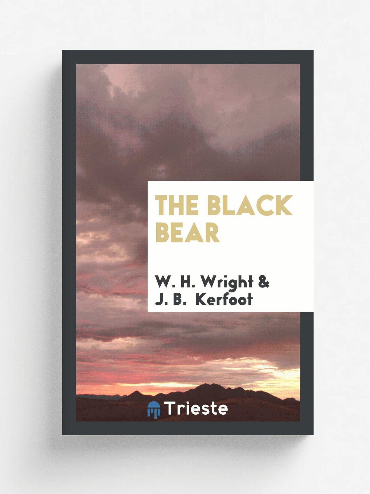 The Black Bear