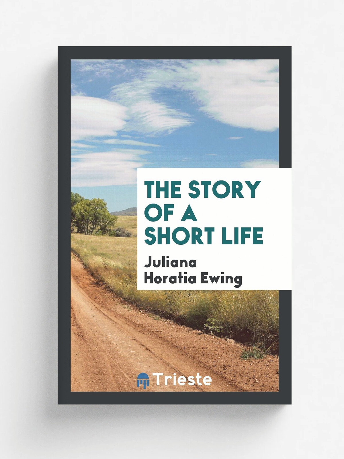 The Story of a Short Life