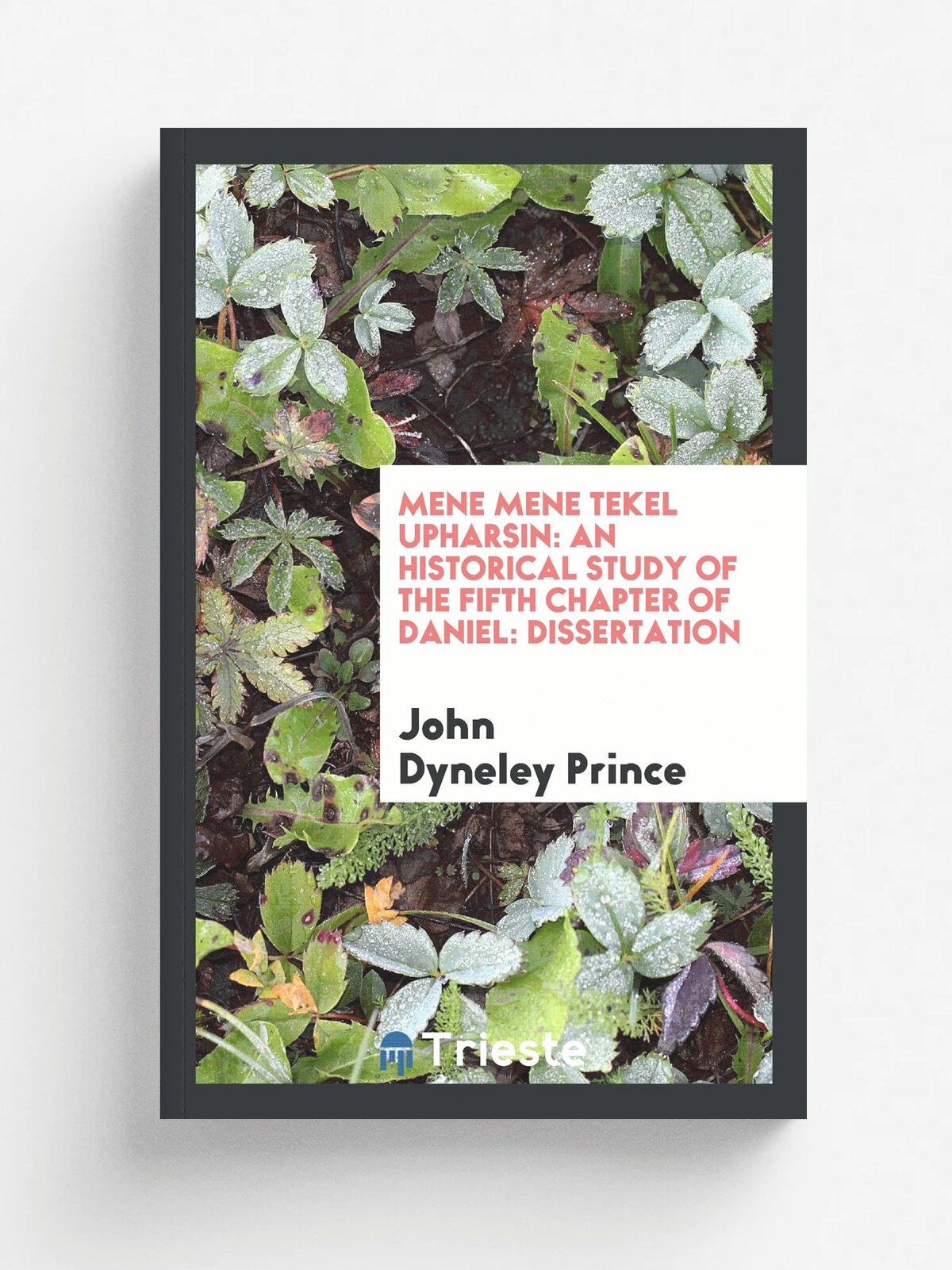 Mene Mene Tekel Upharsin. An Historical Study of the Fifth Chapter of Daniel .