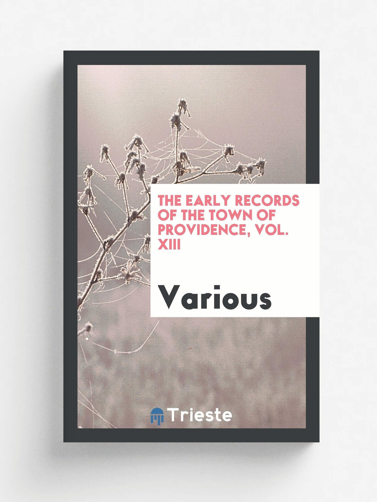 The Early Records of the Town of Providence, Vol. XIII