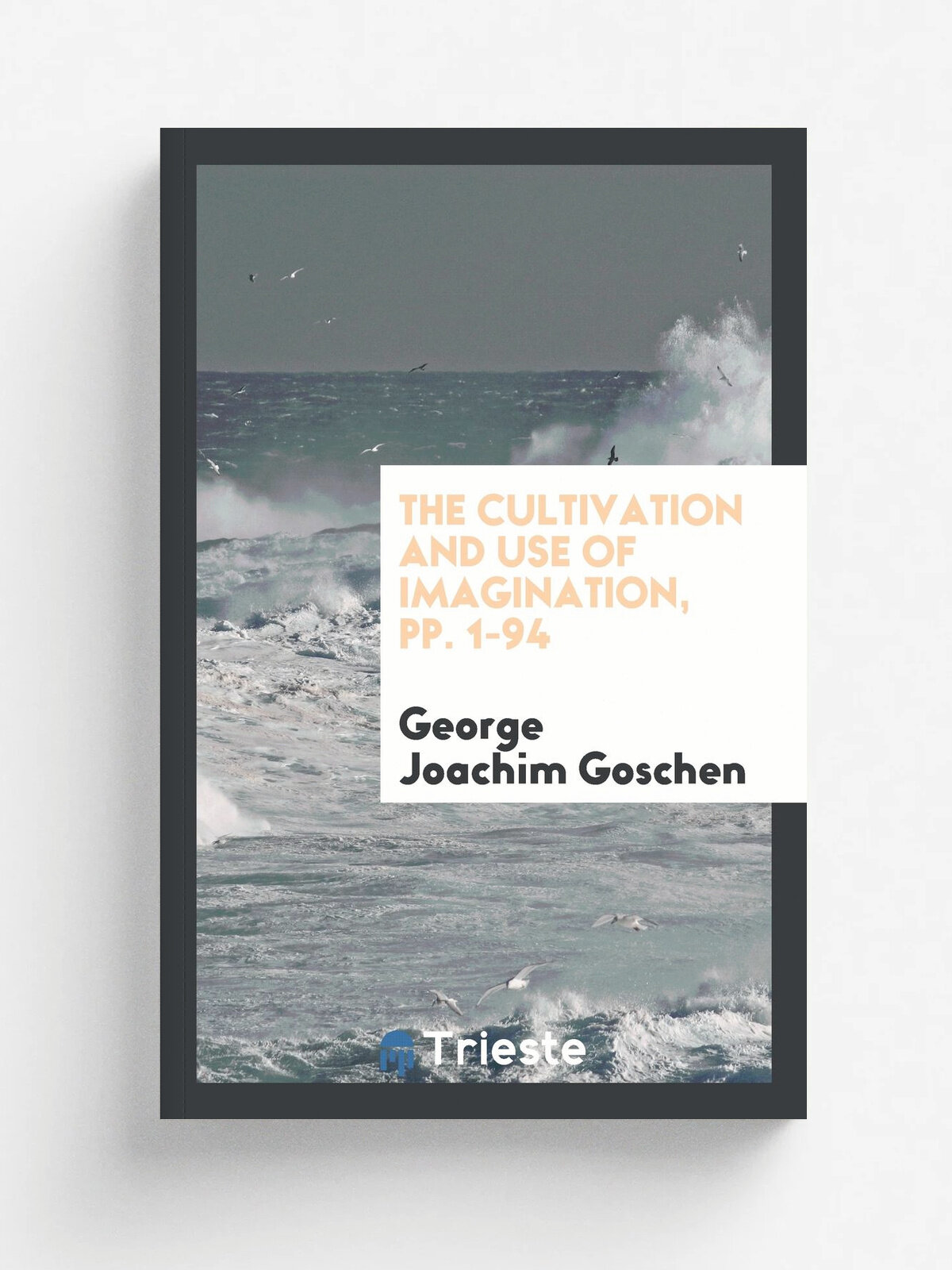 The Cultivation and Use of Imagination, pp. 1-94