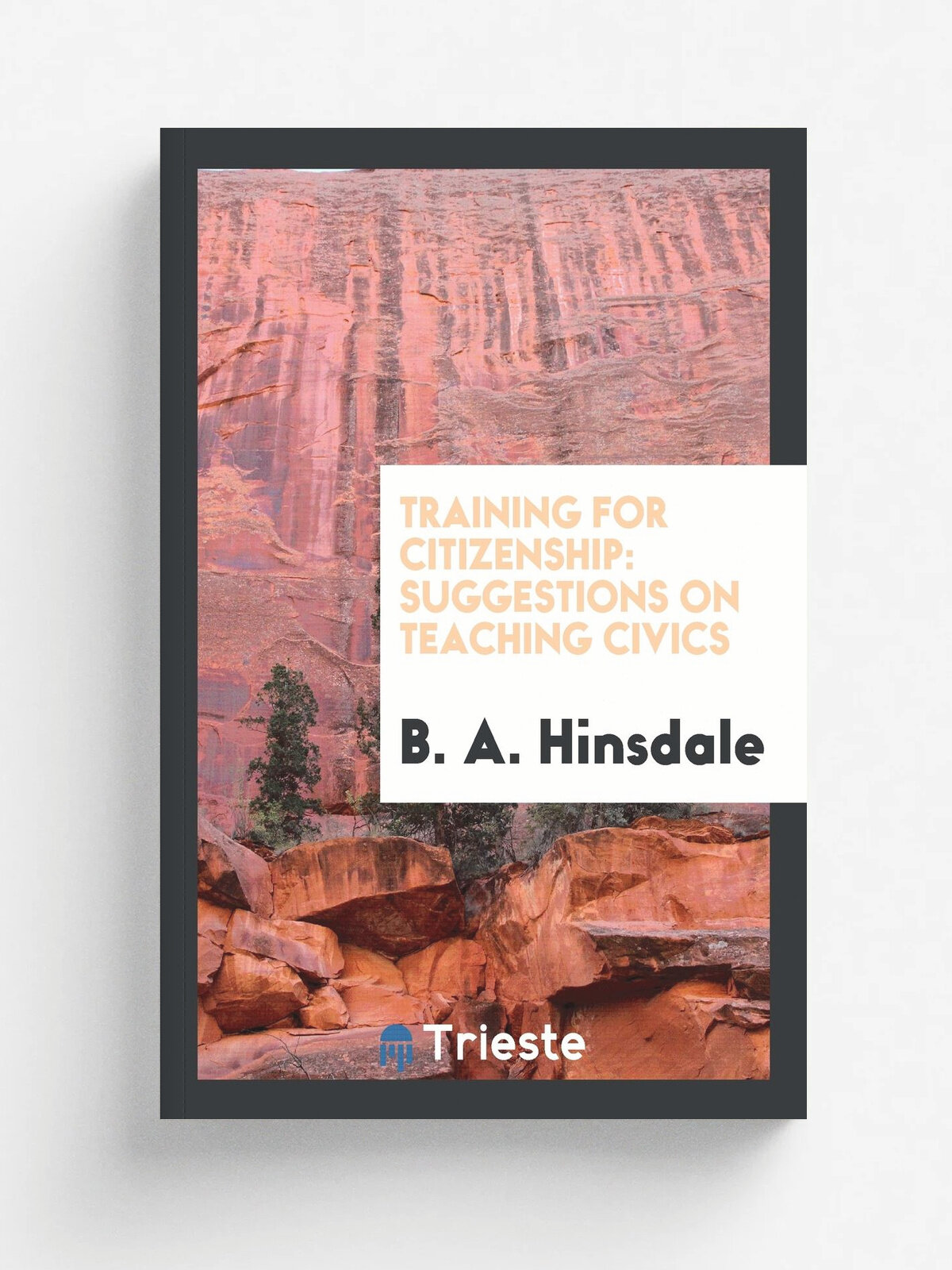 Training for Citizenship. Suggestions on Teaching Civics