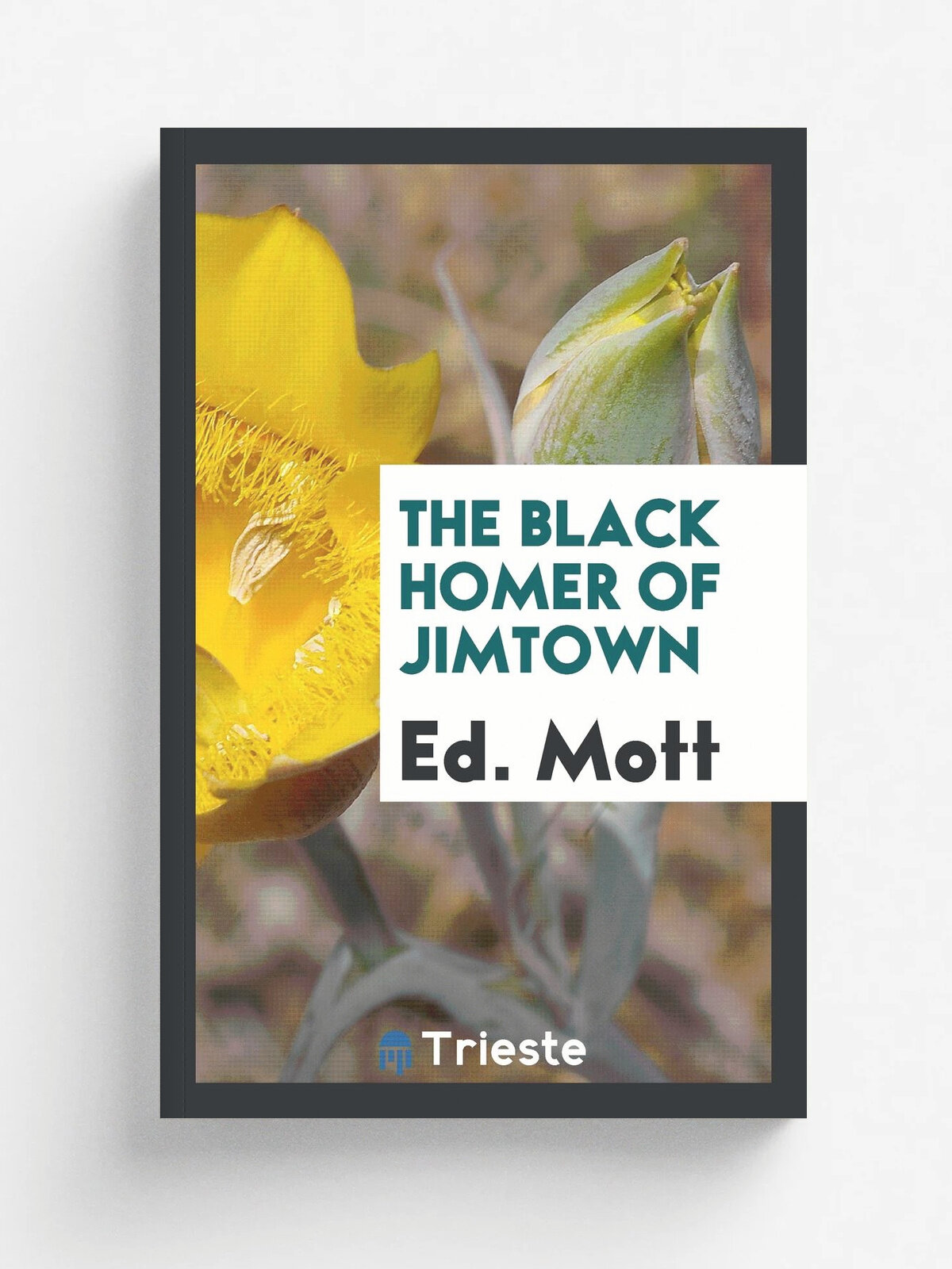 The black Homer of Jimtown
