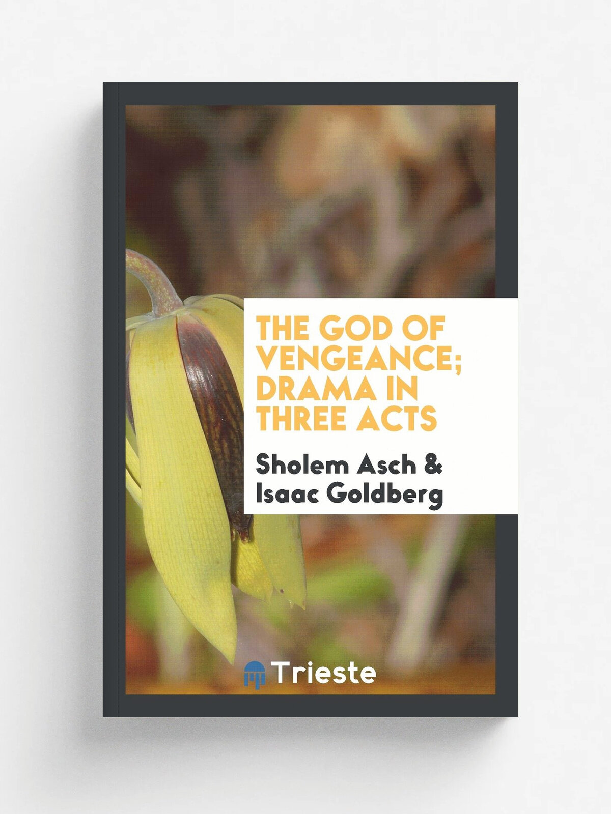 The God of vengeance; drama in three acts