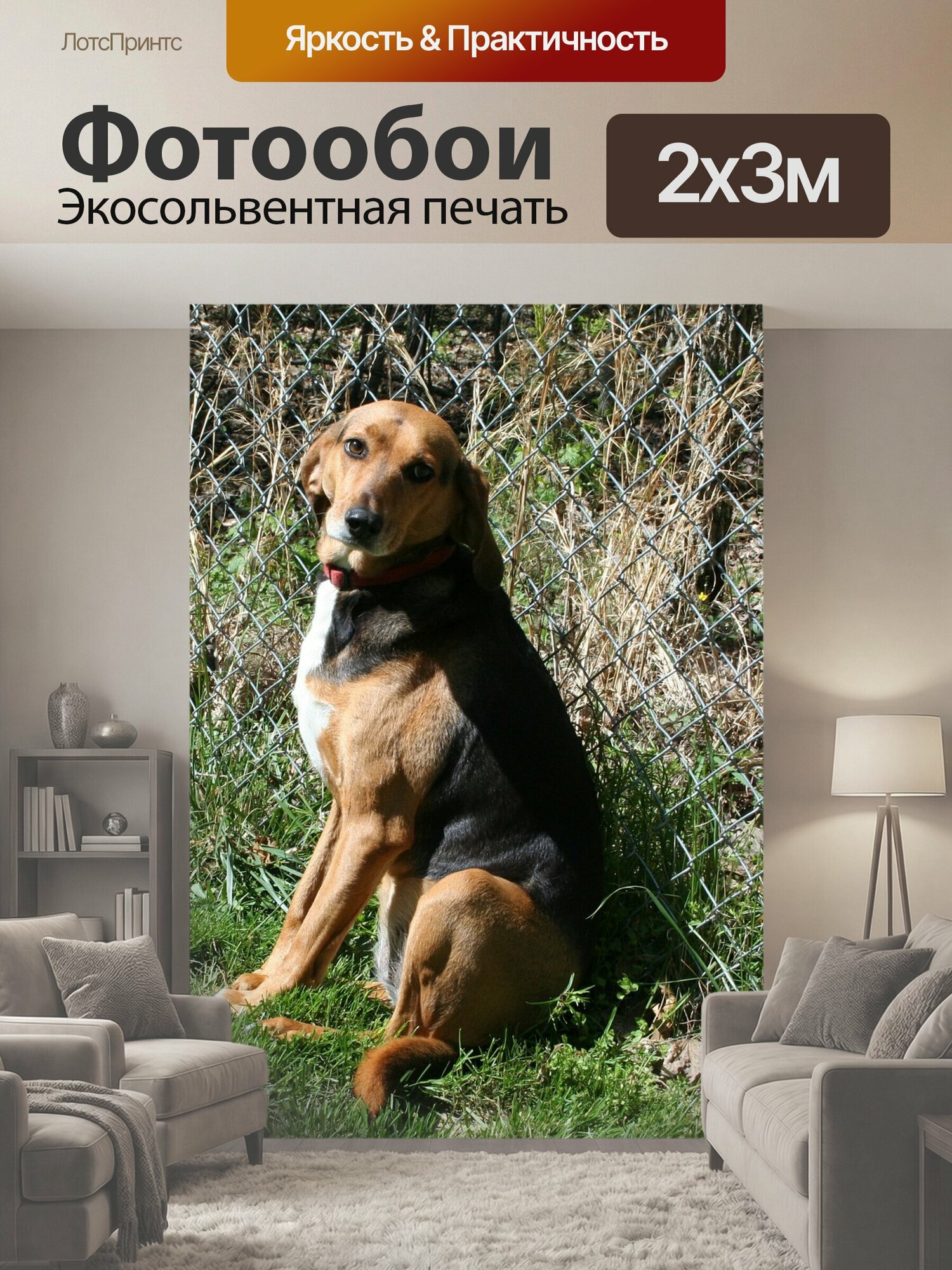 Фотообои "Собака, гончая, домашний питомец" 200x300 см. экосольвентная печать