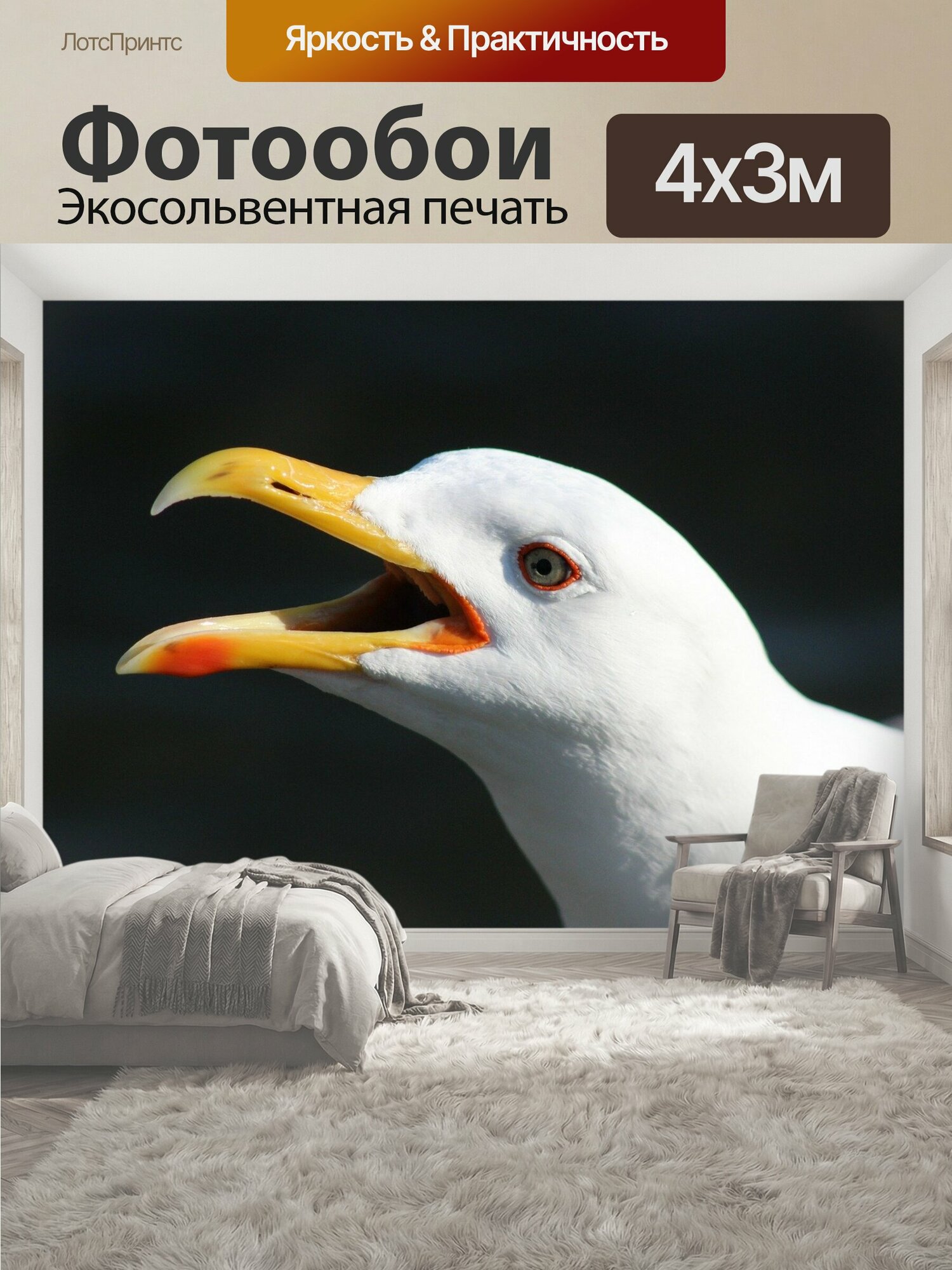 Фотообои "Черноспинных чаек, чайка, птица" 400x300 см. экосольвентная печать