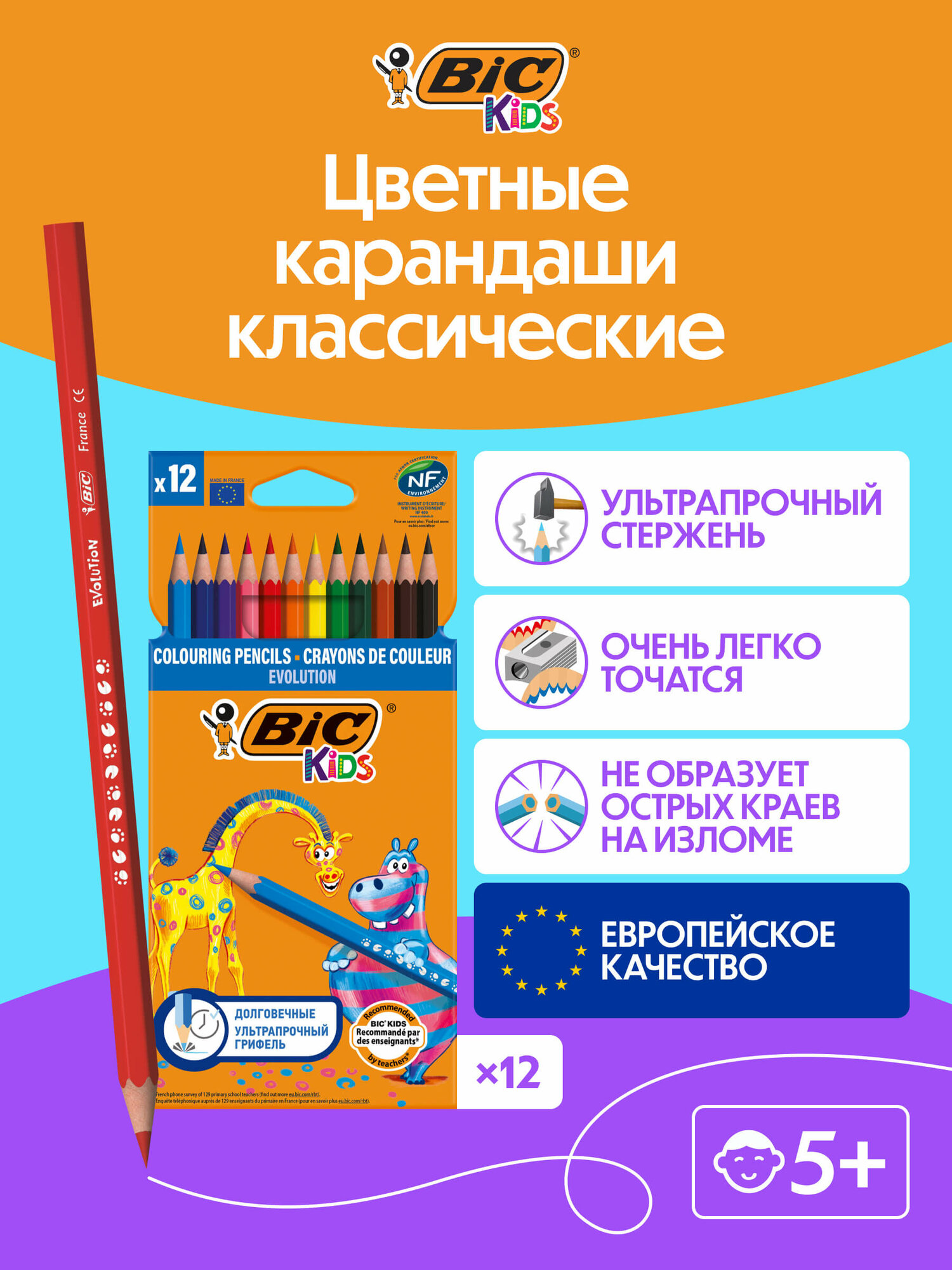 Цветные карандаши BIC KIDS классические, упаковка 12 карандашей