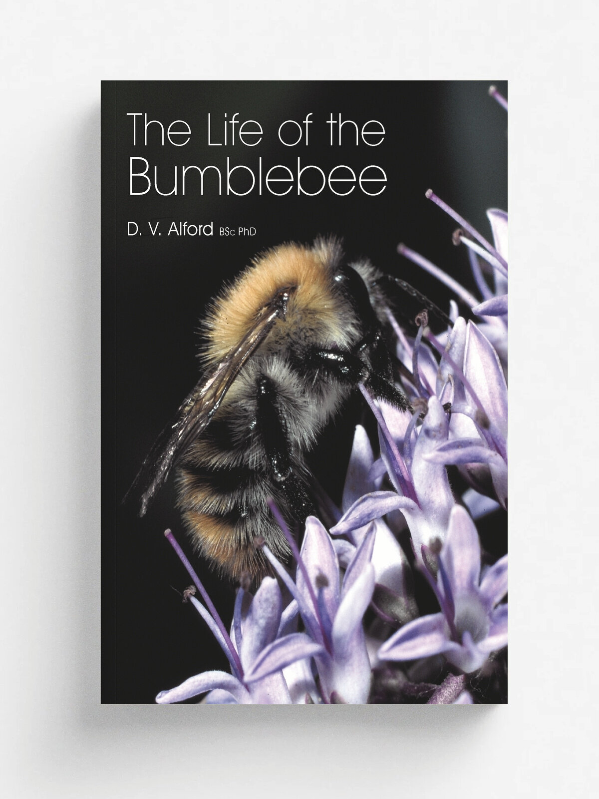The Life of the bumblebee
