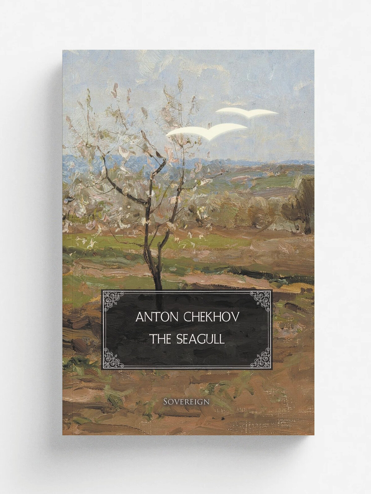 The Seagull