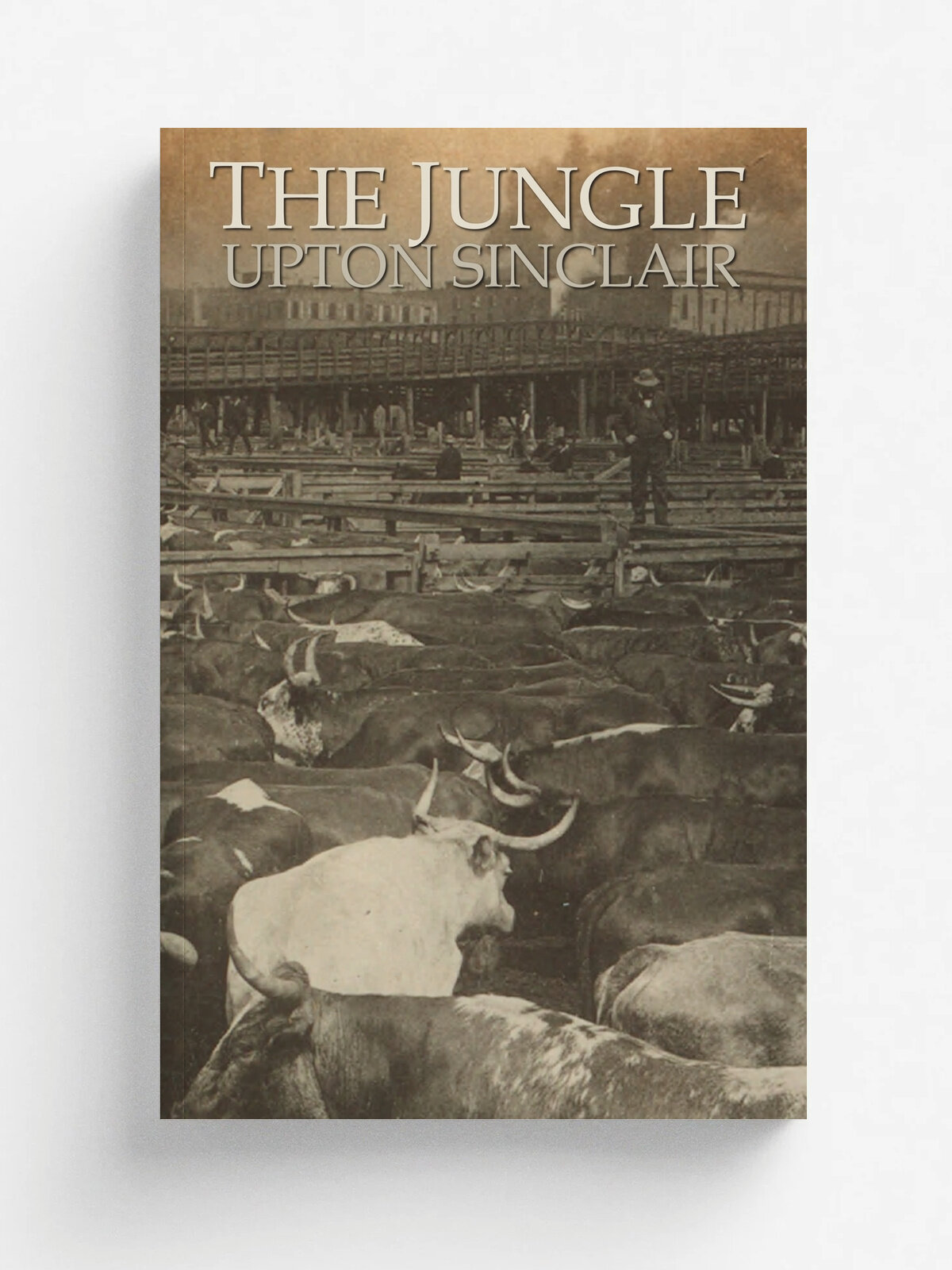The Jungle