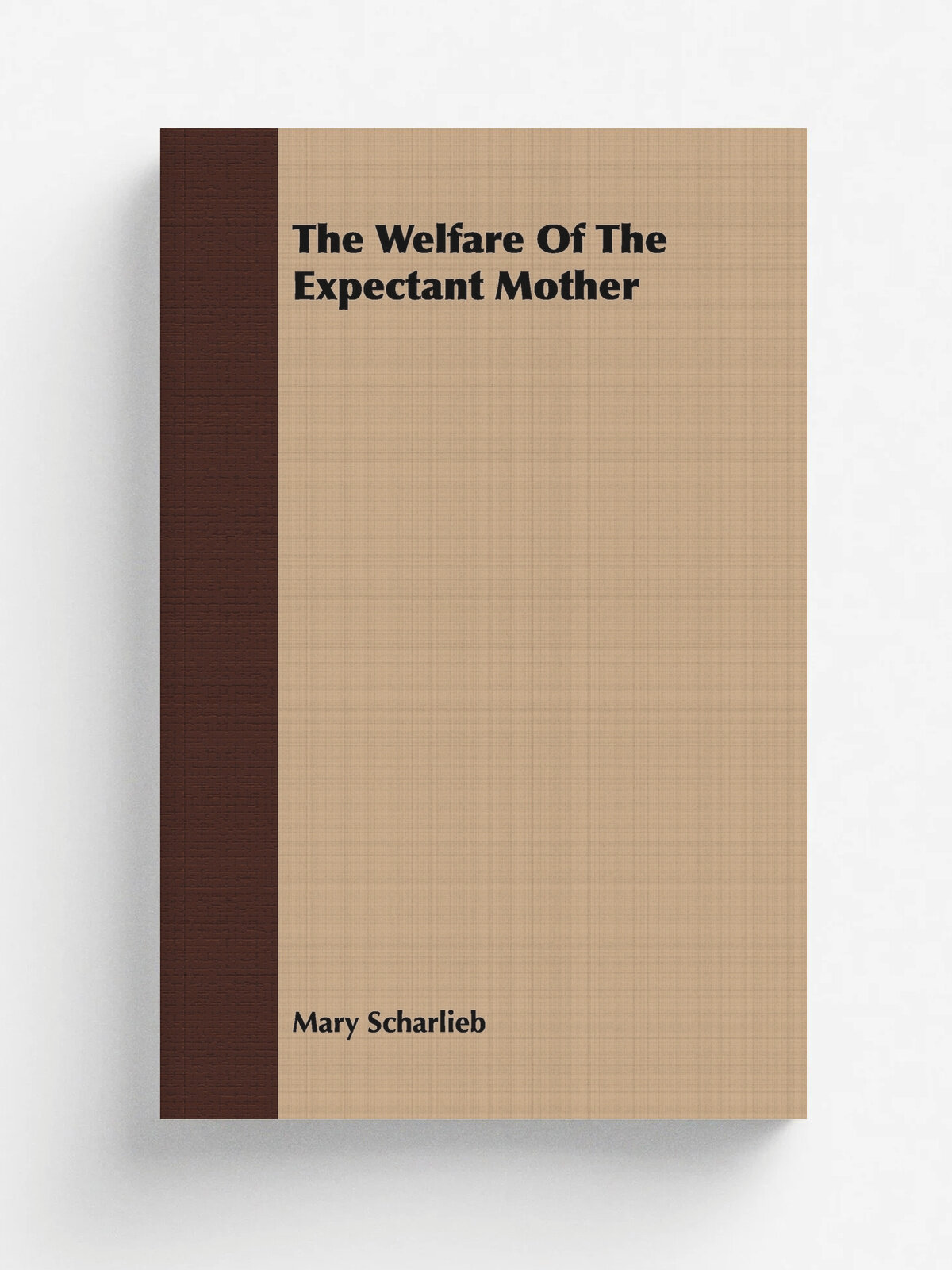 The Welfare Of The Expectant Mother