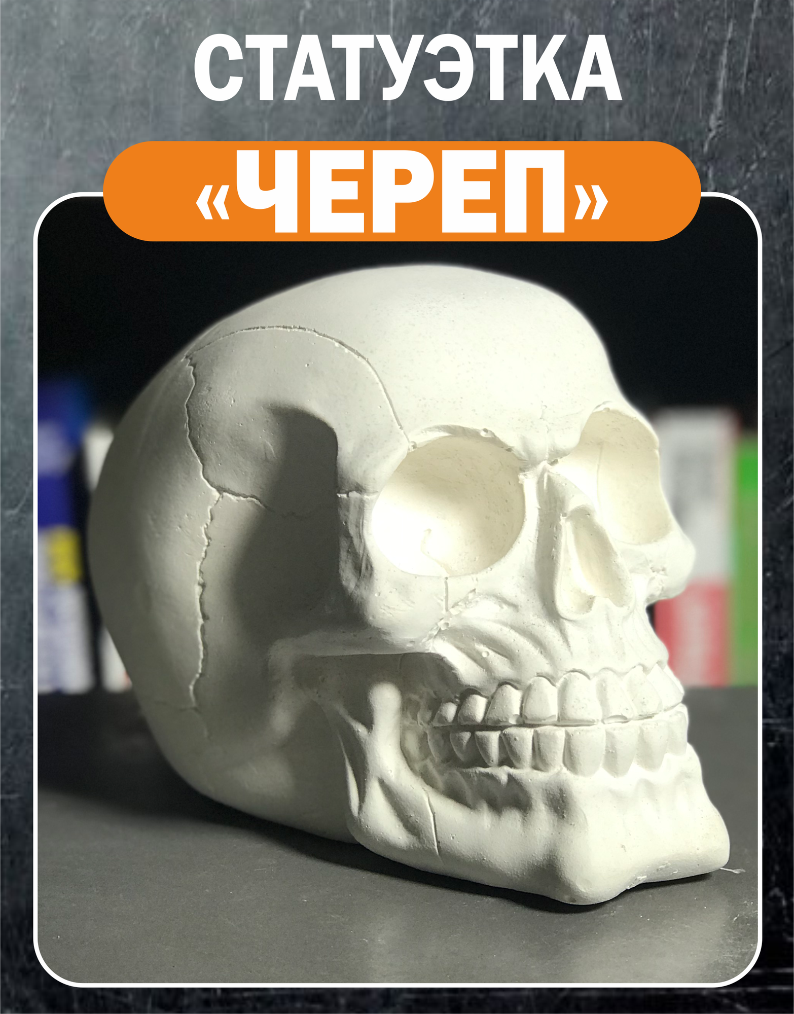 Статуэтка Suvenir-Pro "Череп", анатомический, реалистичный дизайн, белый