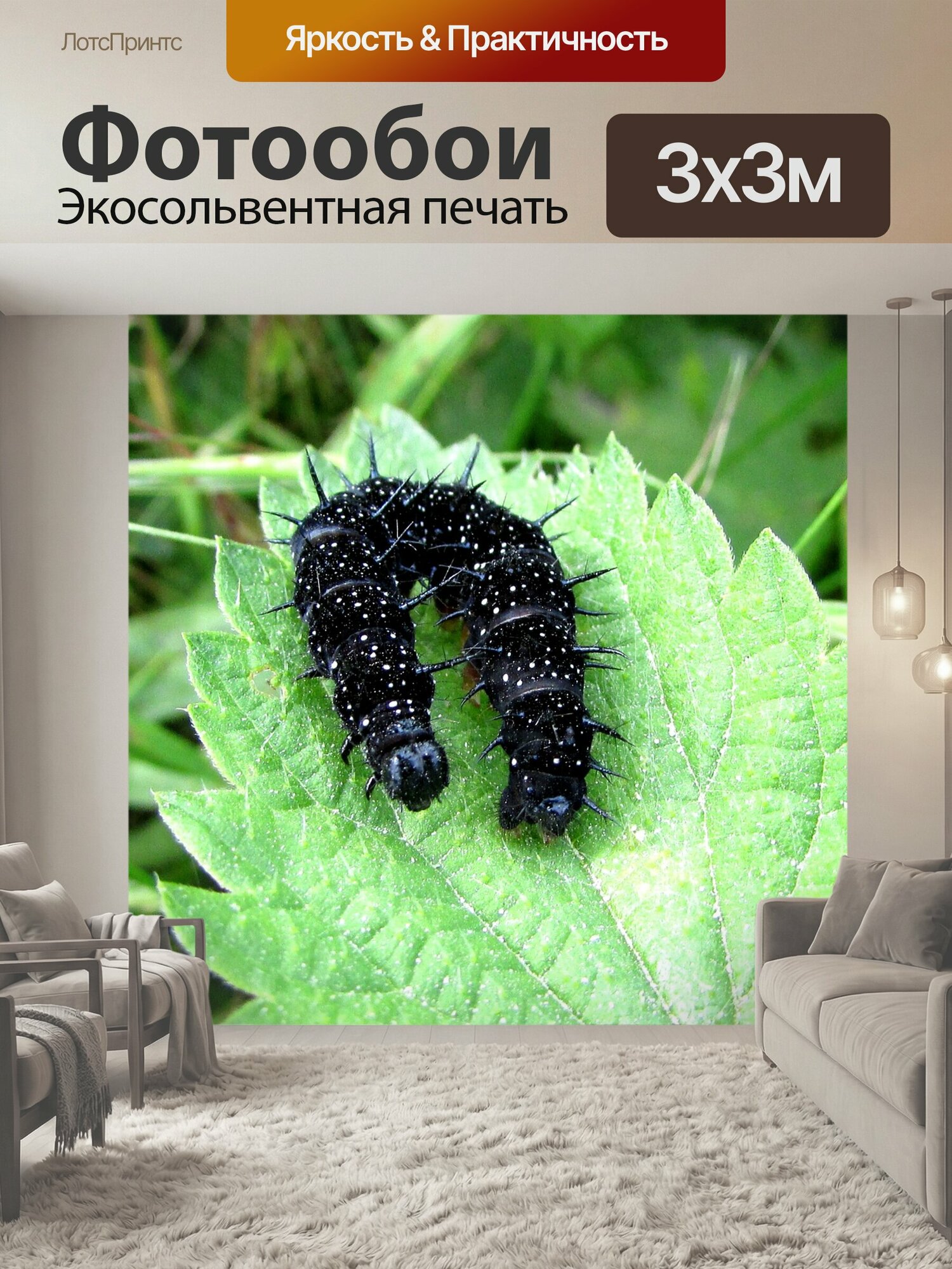Фотообои "Гусеница, бабочка, животное" 300x300 см. экосольвентная печать