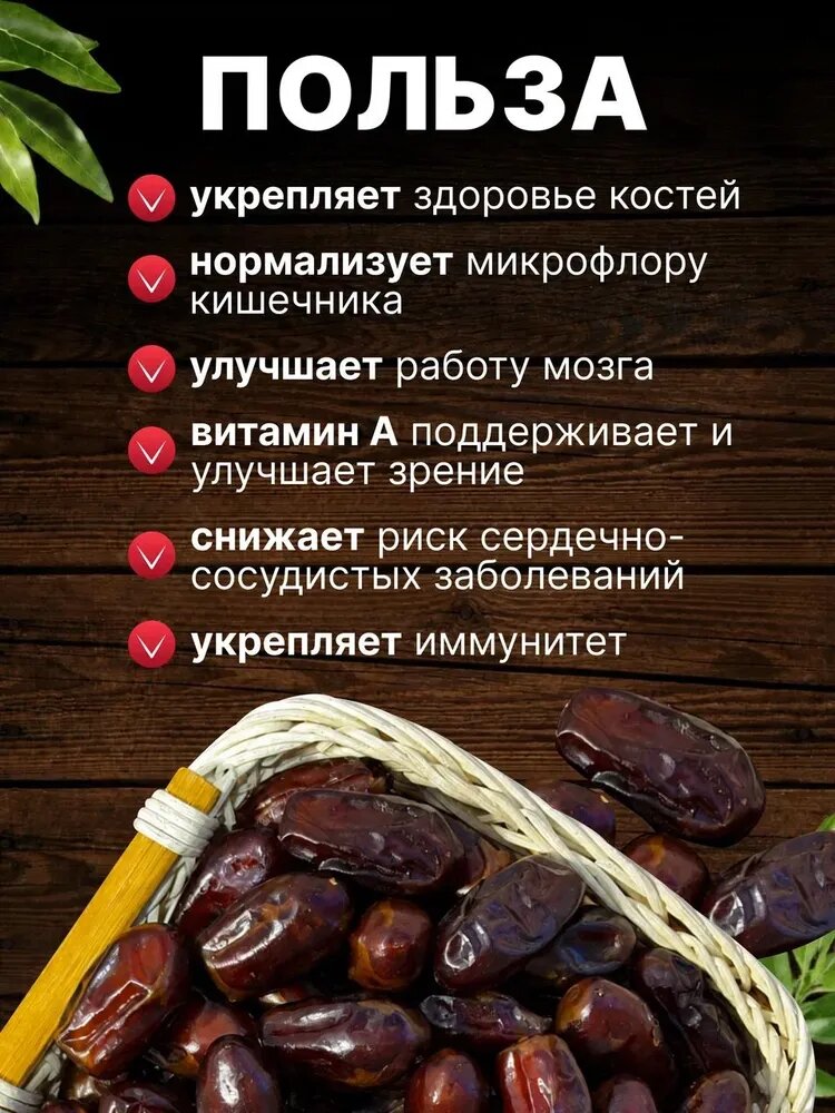 Финики Иранские — фото 1