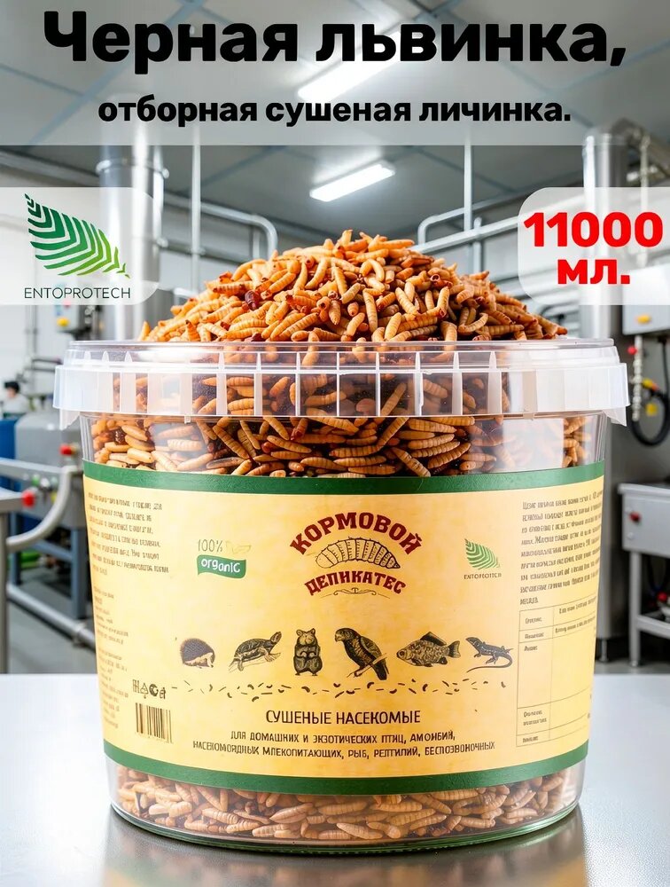 Черная львинка сушеная, личинка отборная 11000 мл. Entoprotech промышленное производство