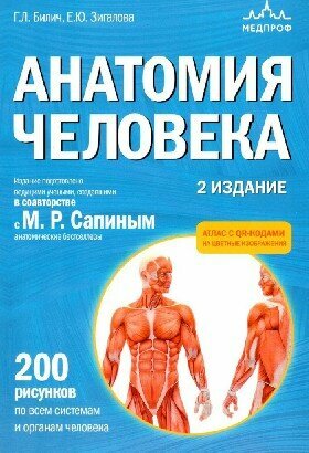 Анатомия человека. 2 издание. Атлас с qr-кодами на цветные изображения / Билич Г. Л, Зигалова Е. Ю.